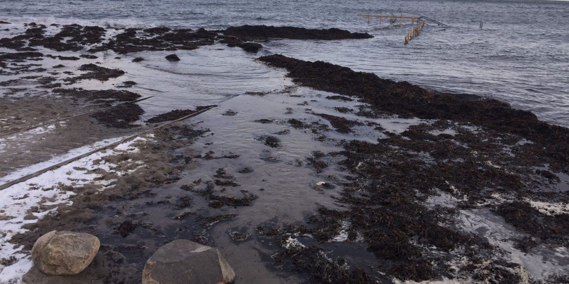 Exceptionally high sea levels in the internal Danish waters | Your ...